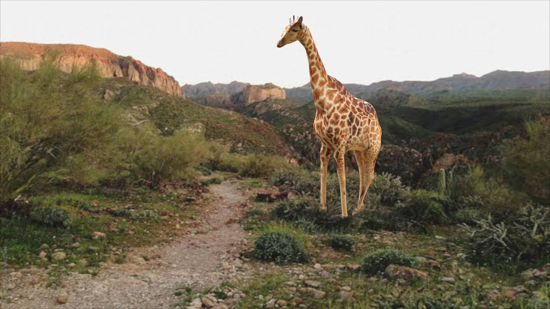 ArtStation - Giraffe Modelling