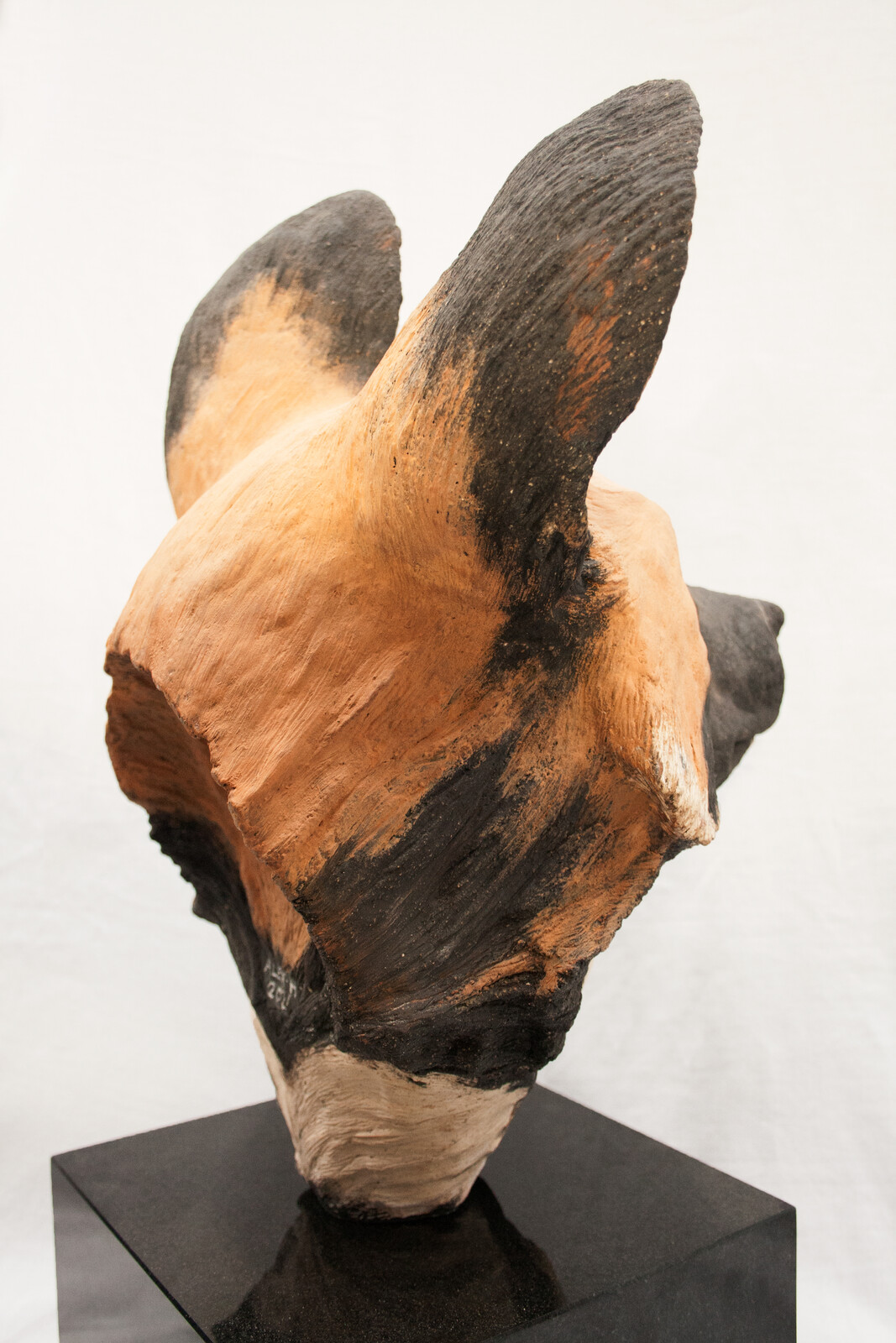 Alex Hickman - African Wild-Dog Bust. Ceramic mounted on Granite.