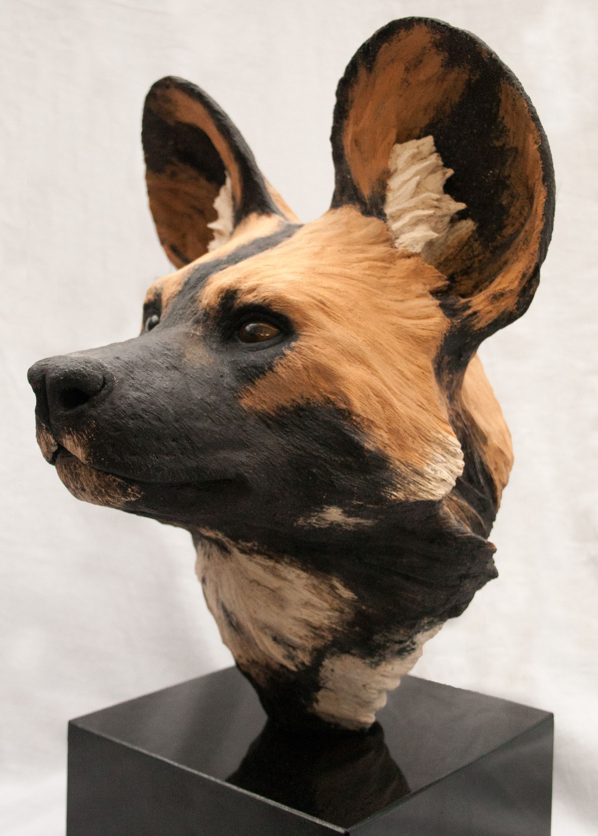 Alex Hickman - African Wild-Dog Bust. Ceramic mounted on Granite.