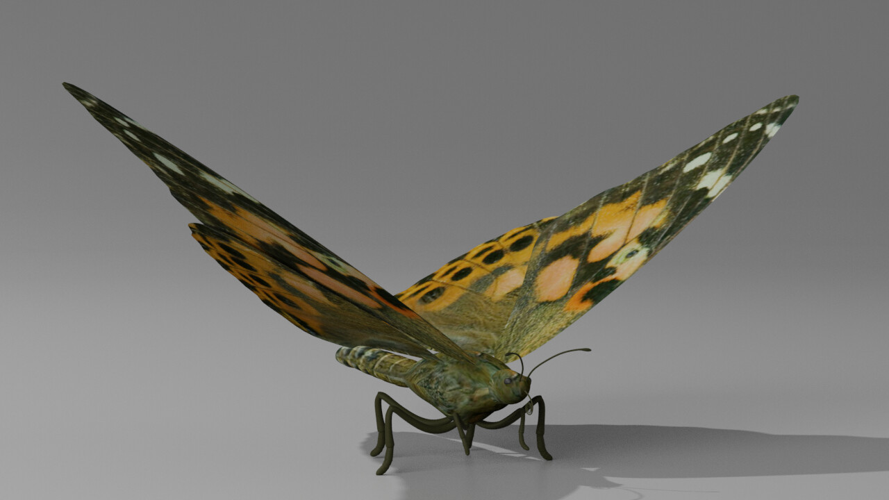 William Haertel - "Kaleidoscope" Butterfly Collection [WIP]