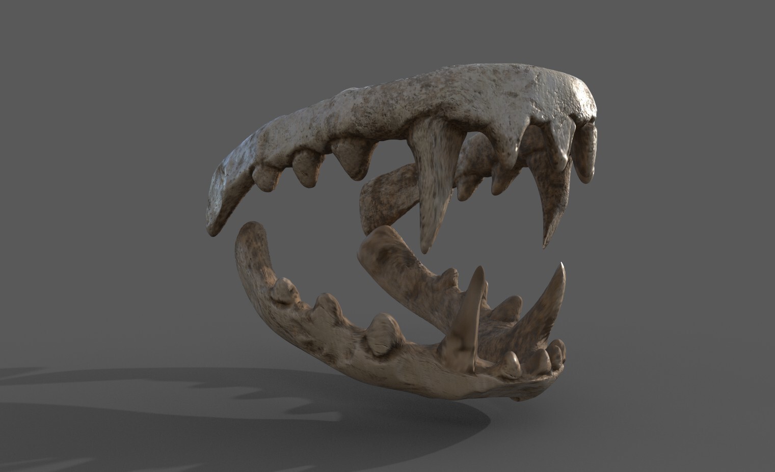 ArtStation - Ancient creature bones