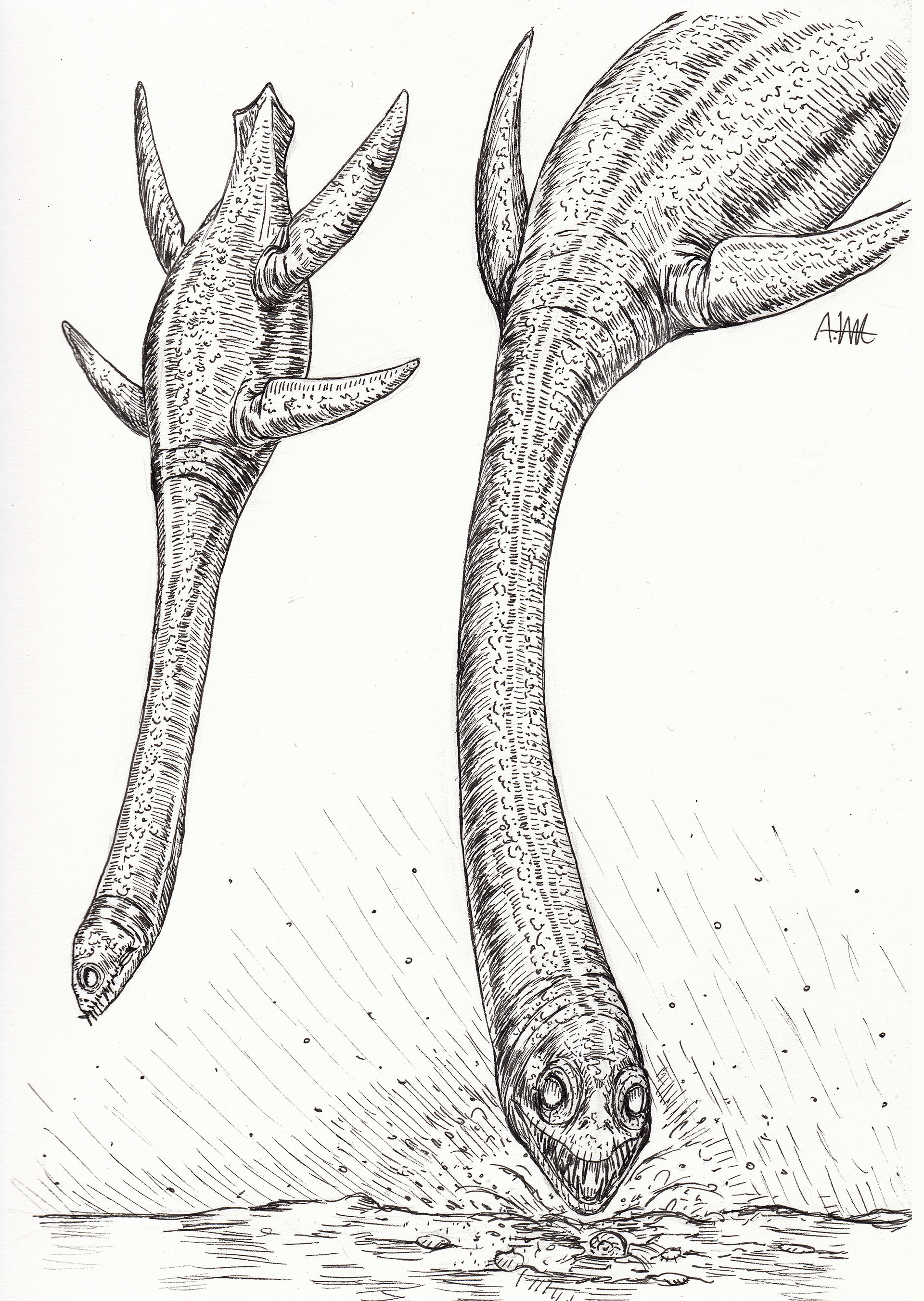 Adam _RL - Pen and Ink Drawings (October 2021)