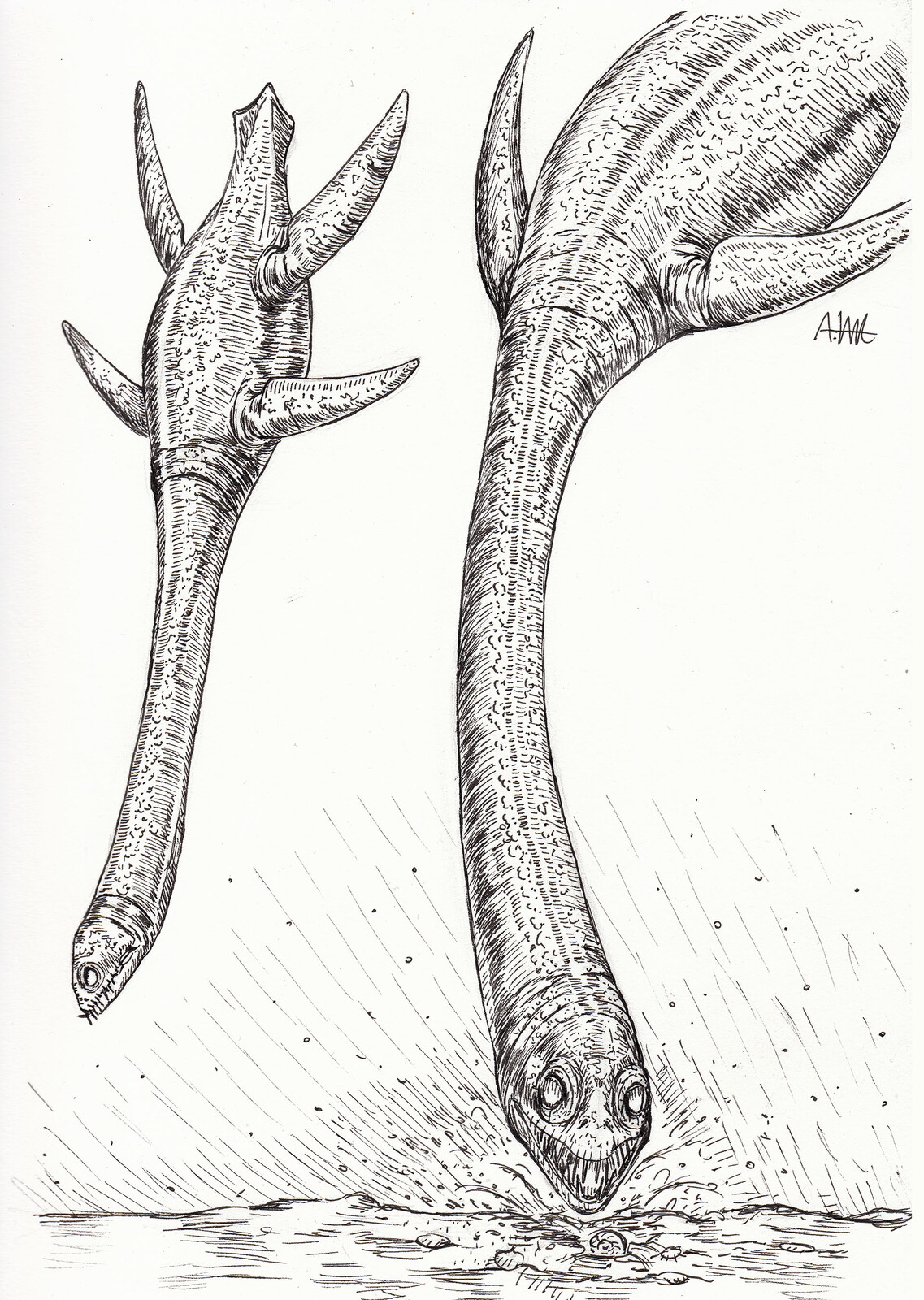 Adam _RL - Pen and Ink Drawings (October 2021)