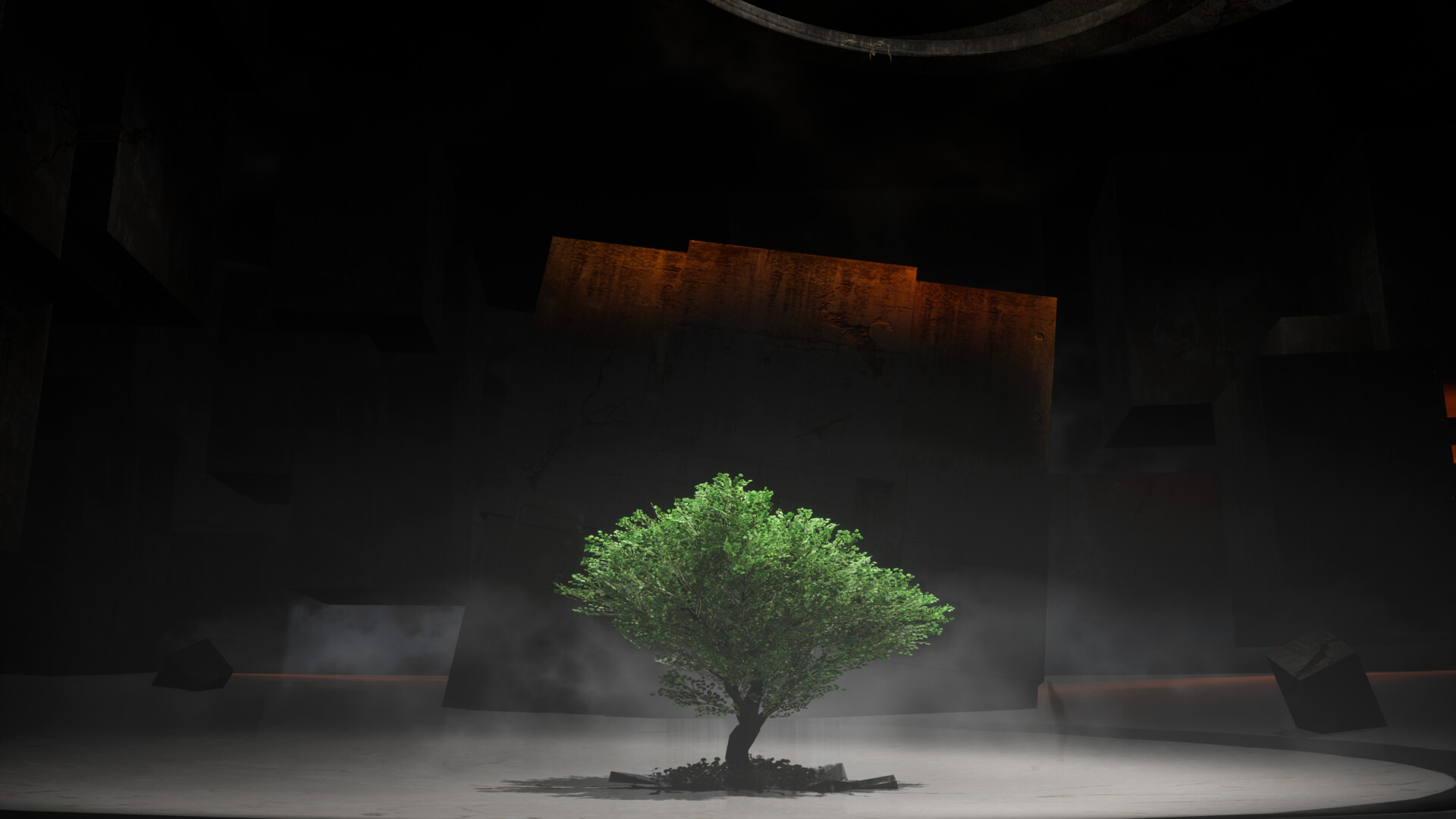 Steven Lin - The Last