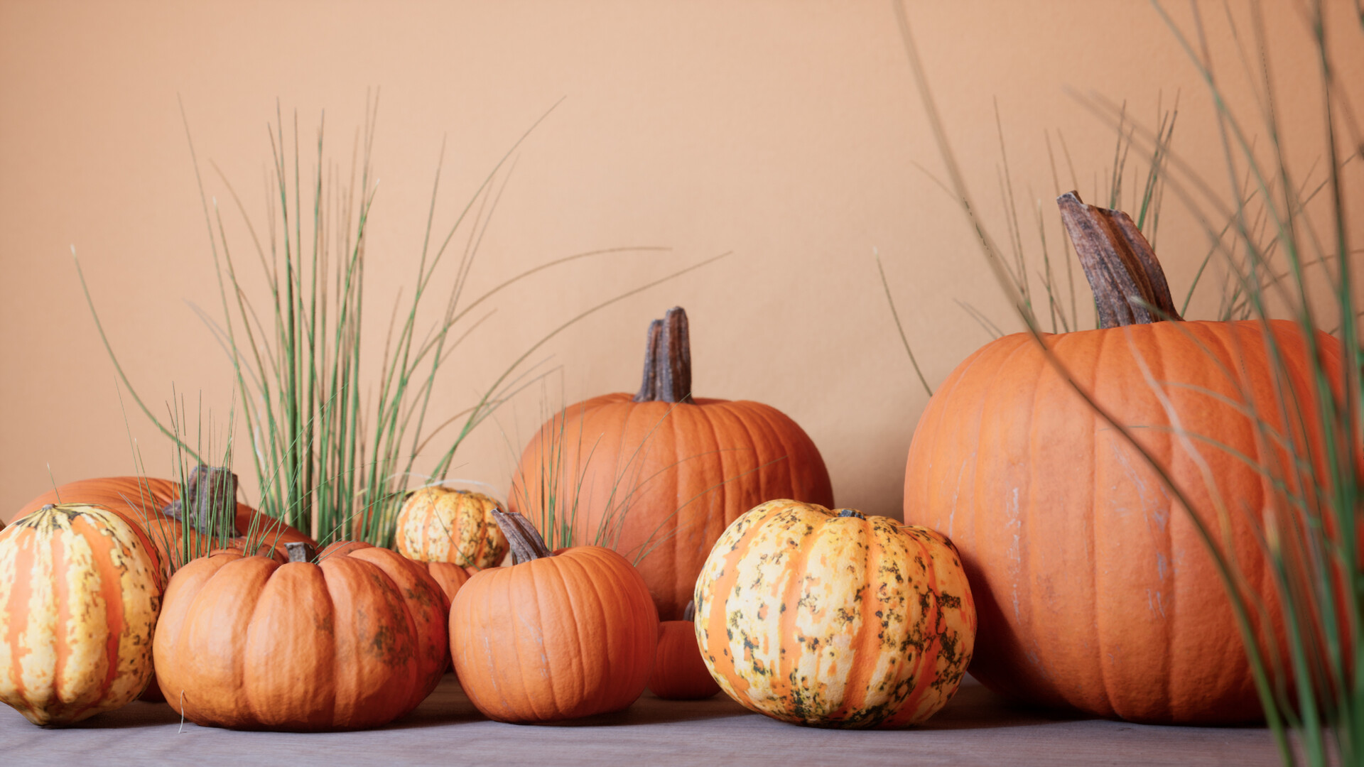 ArtStation - Thanksgiving Pumpkins