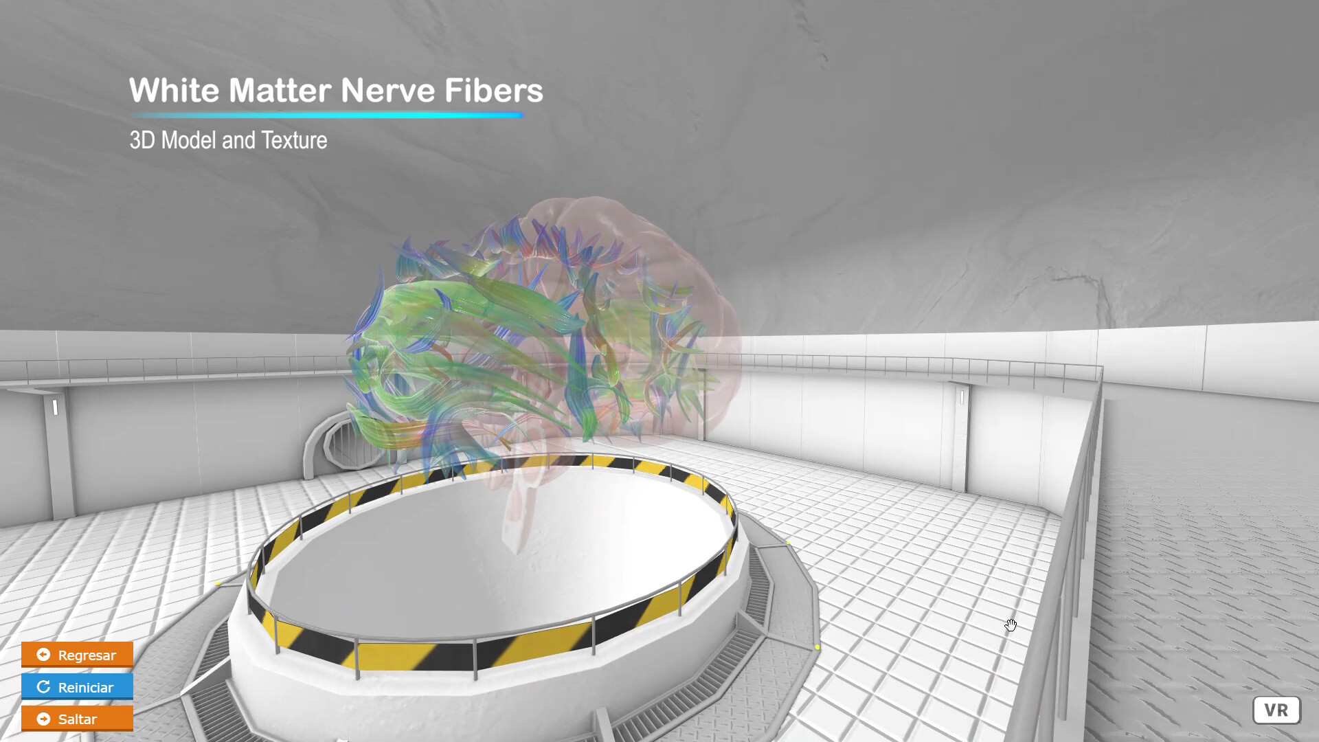 Ana Garza - Virtual Brain: Neurons, Synapse and White Matter Nerve Fibers