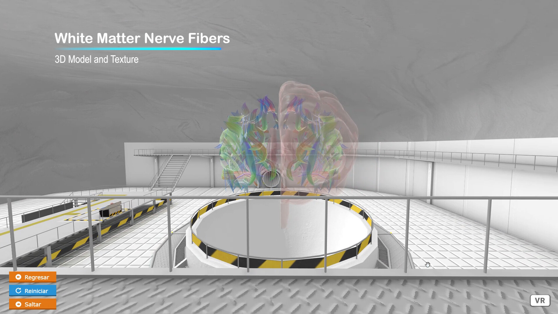 Ana Garza - Virtual Brain: Neurons, Synapse and White Matter Nerve Fibers