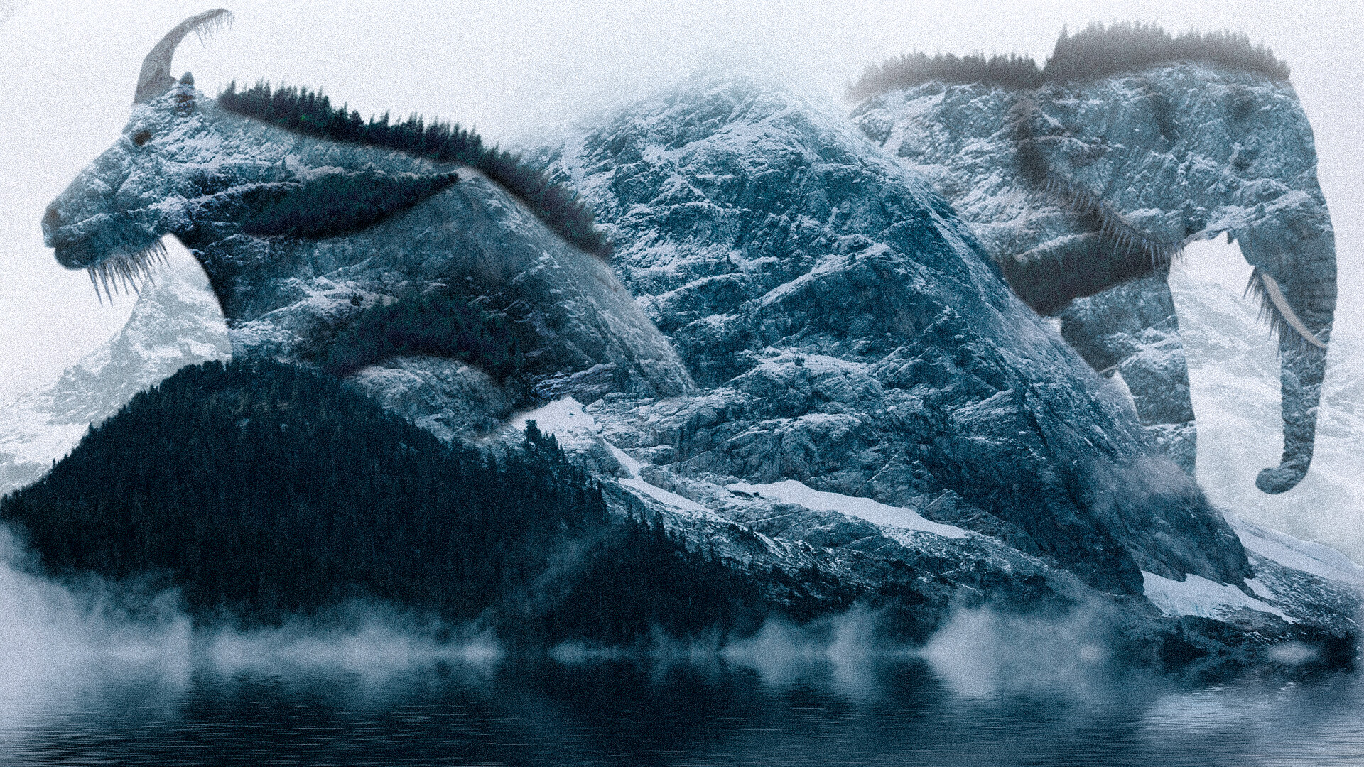 ArtStation - Compositing animals and nature In Photoshop