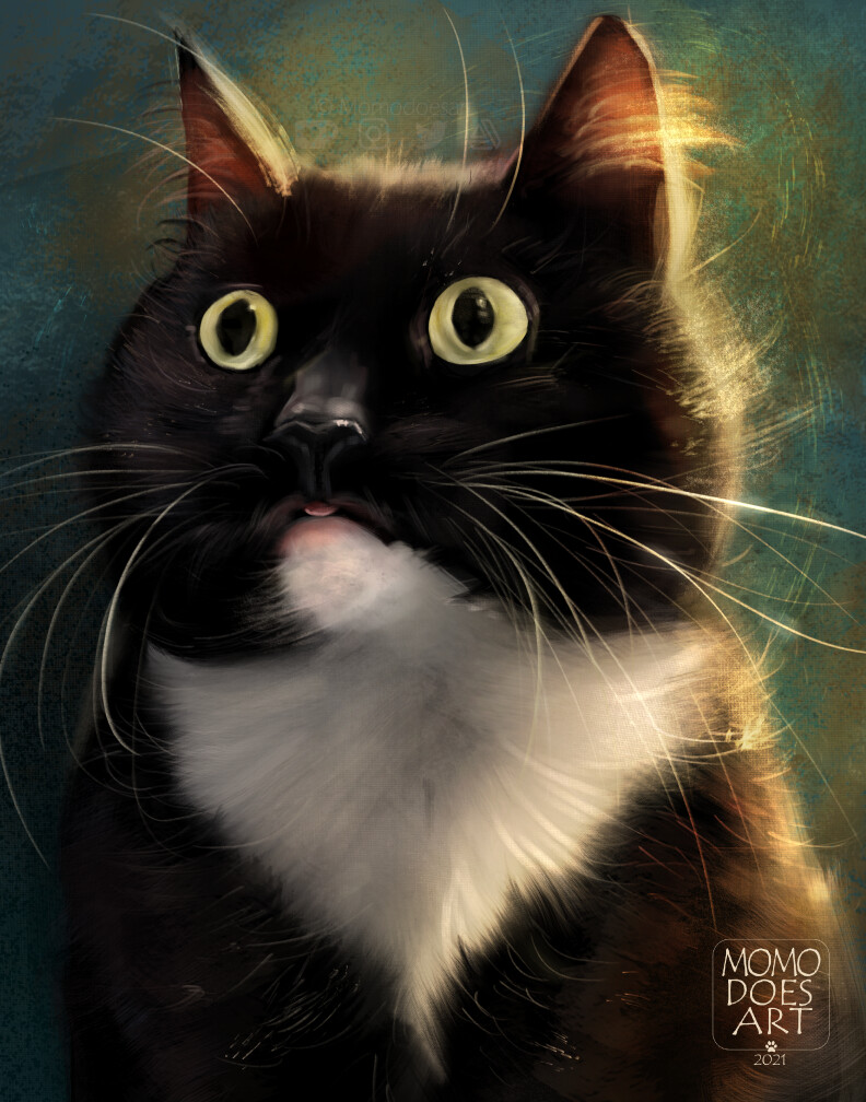 ArtStation - Zelda the curious cat