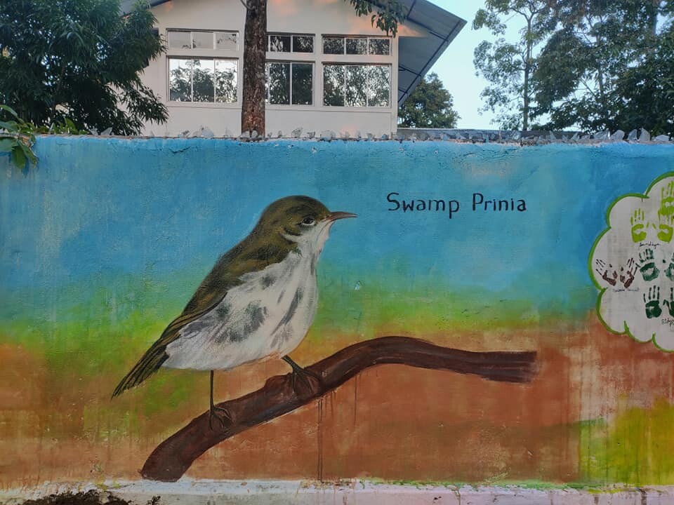 Art for Nature - Wall art at Guijan