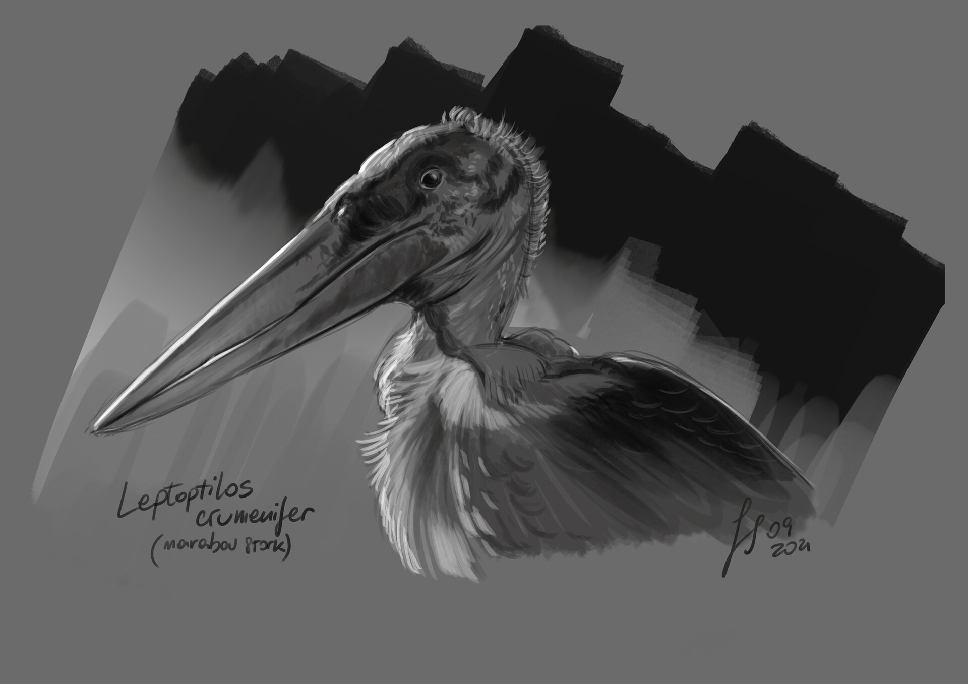ArtStation - Marabou stork