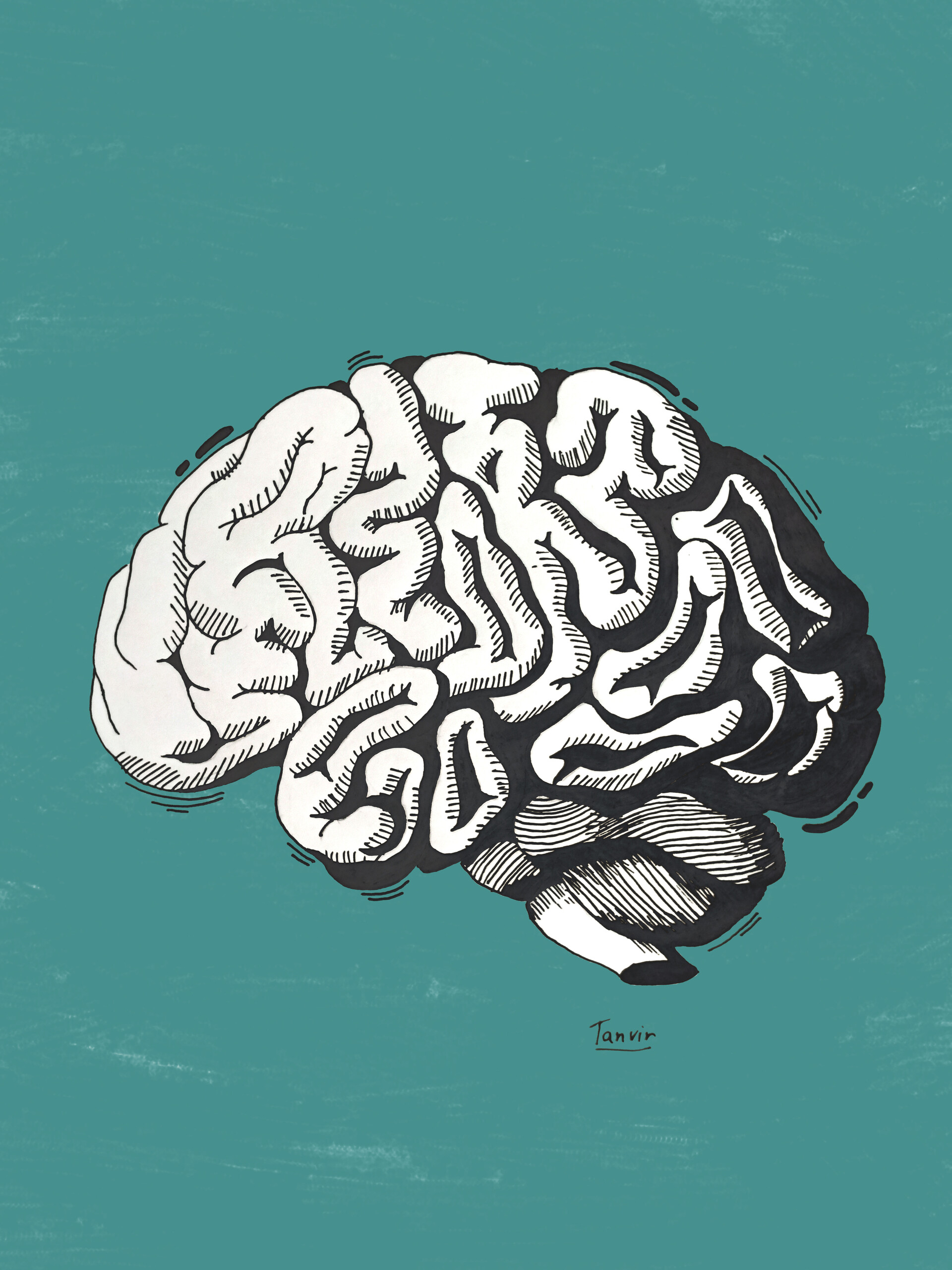 Brain Illustration Typography
