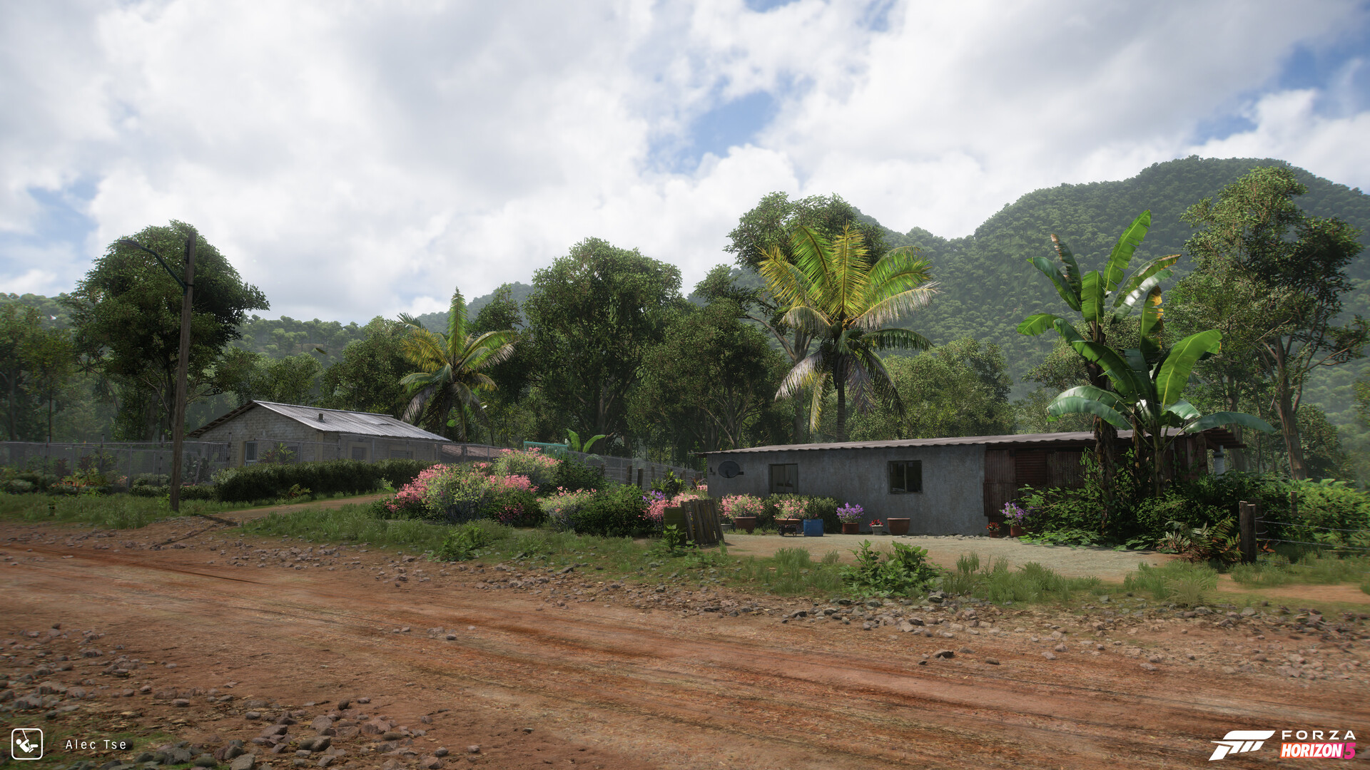 Alec Tse - Forza Horizon 5 - Biome and general scene comp