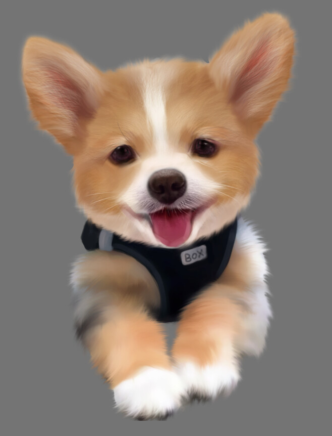 ArtStation - pubby dog