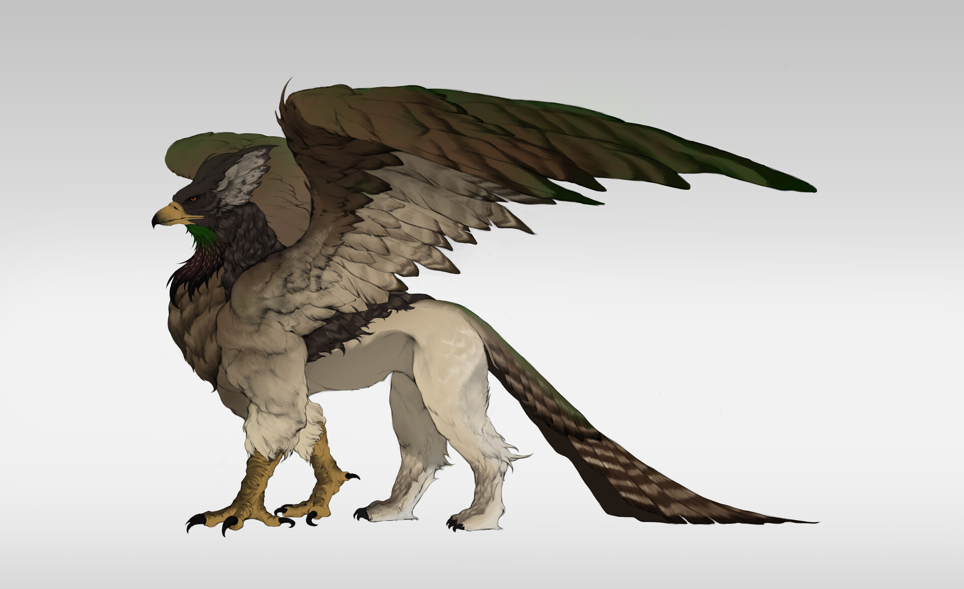 ArtStation - Griffin