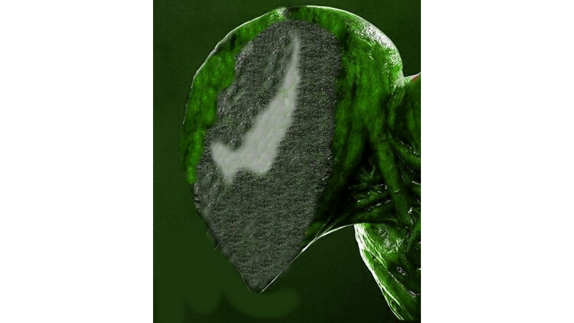 Demogorgon - Spawn of the Venom Symbiote