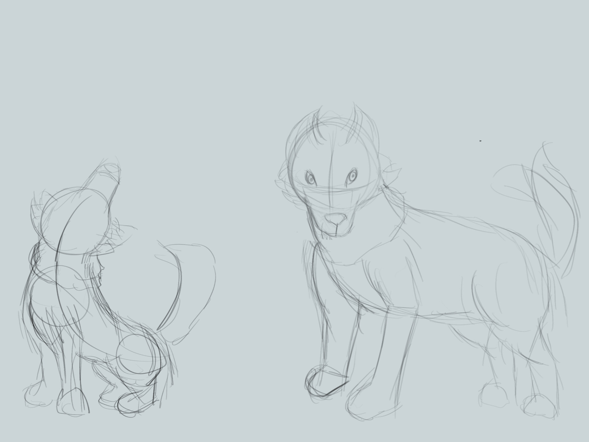 how to draw wolf poses