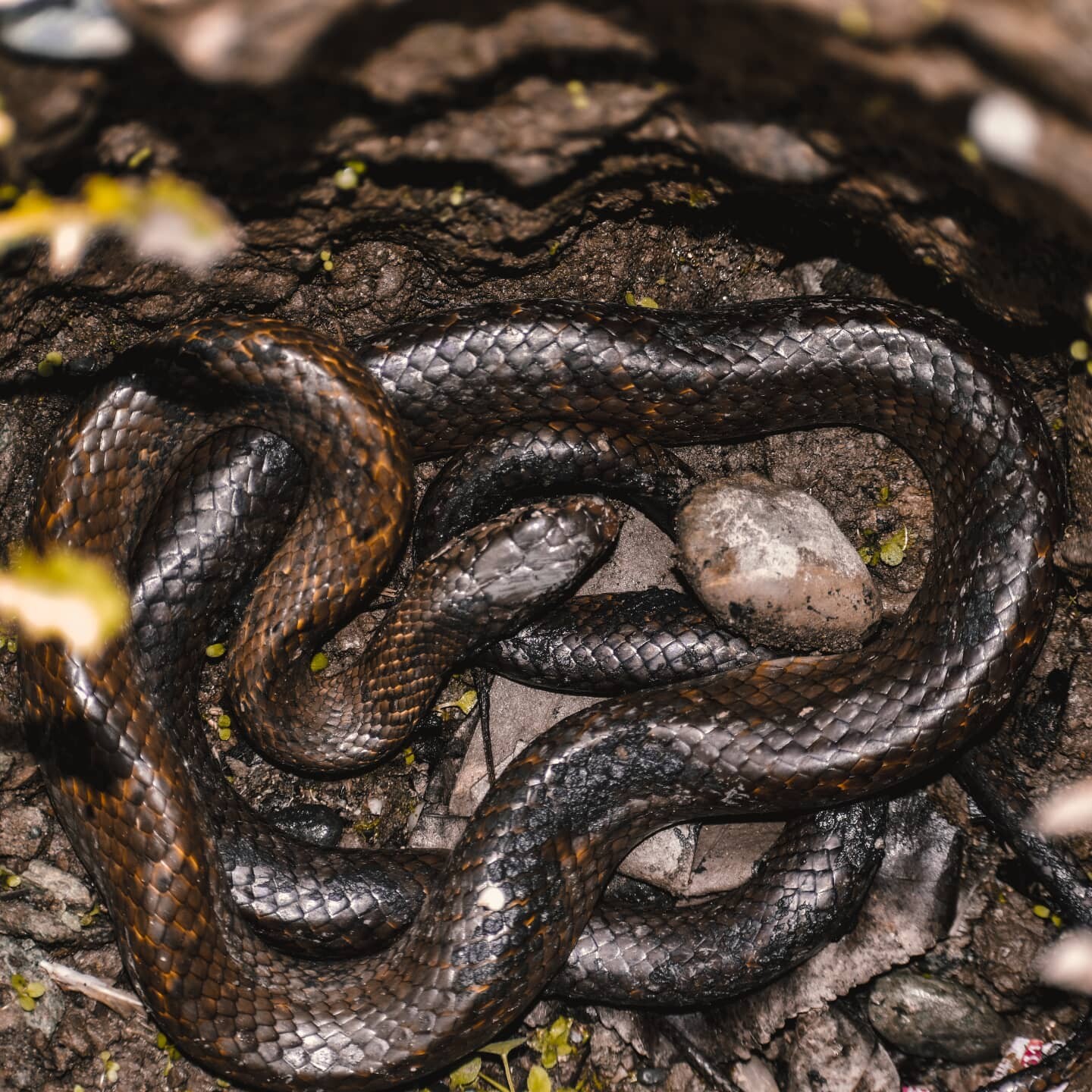 ArtStation - Photography