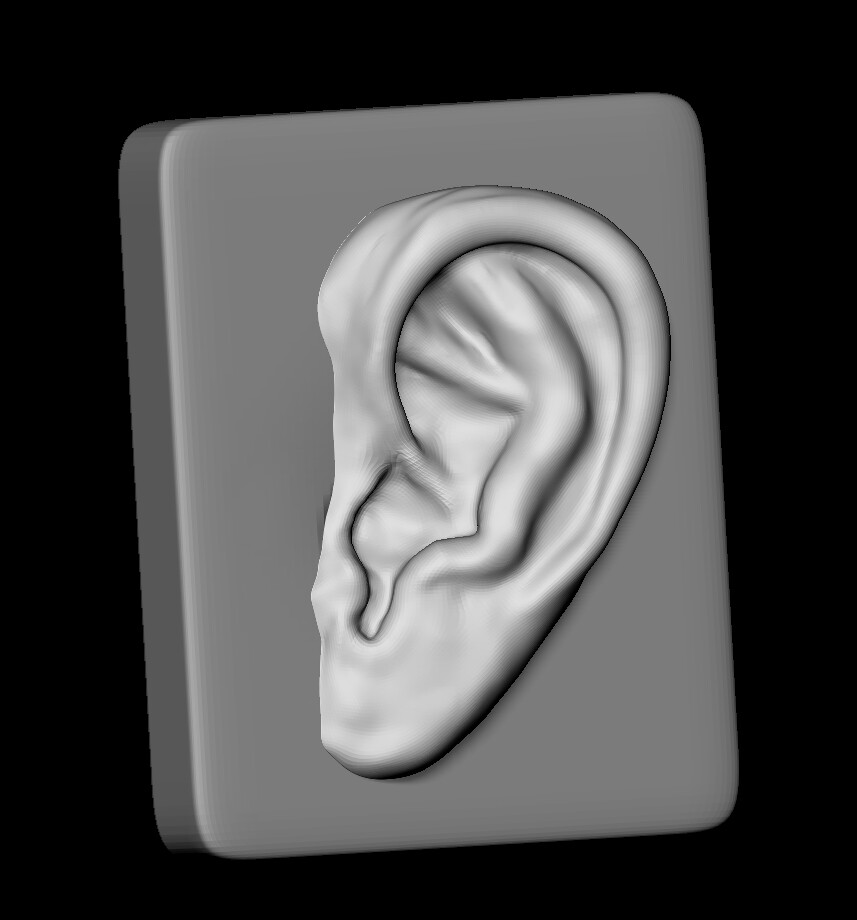 ArtStation - Ear Sculpt