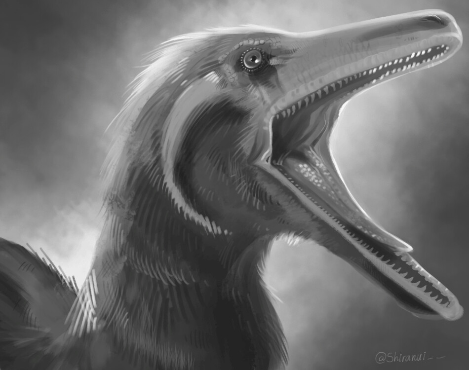 ArtStation - Austroraptor