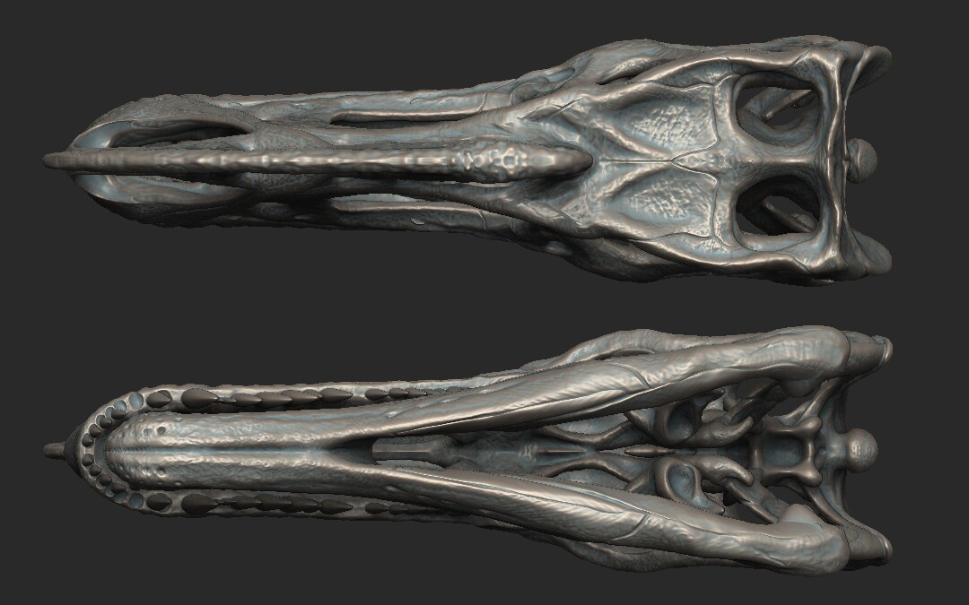 proceratosaurus skull