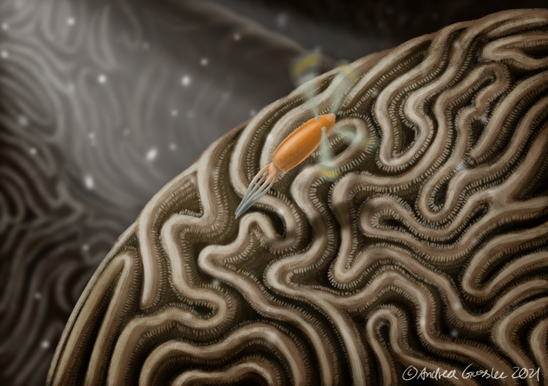 ArtStation - Auroran Biomes