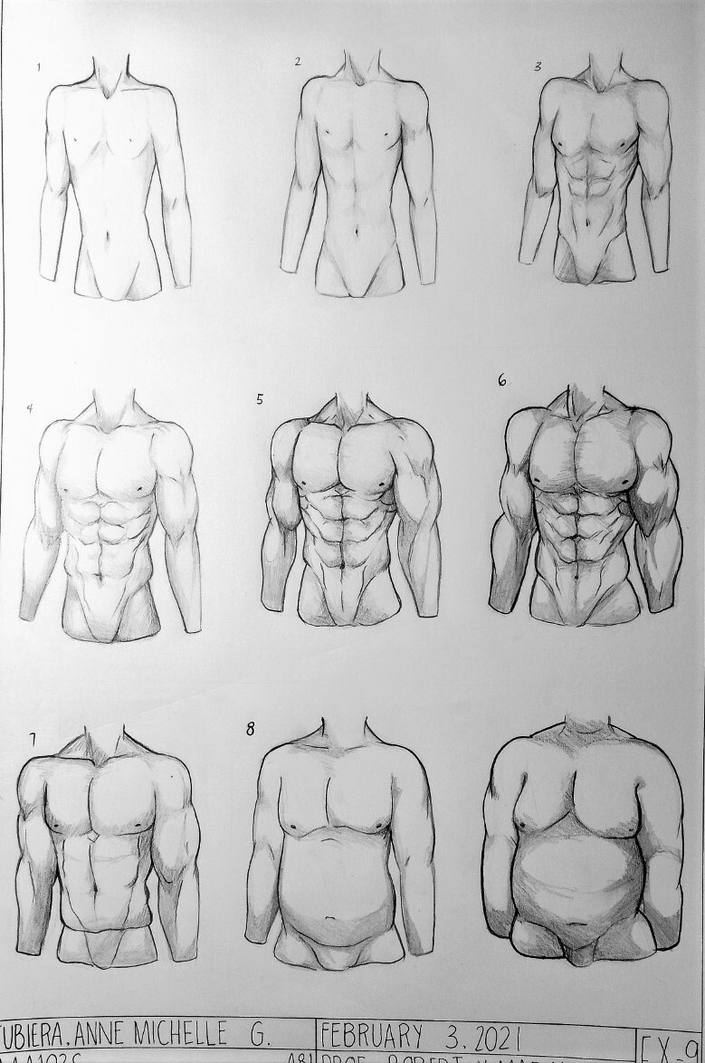 abs anatomy reference