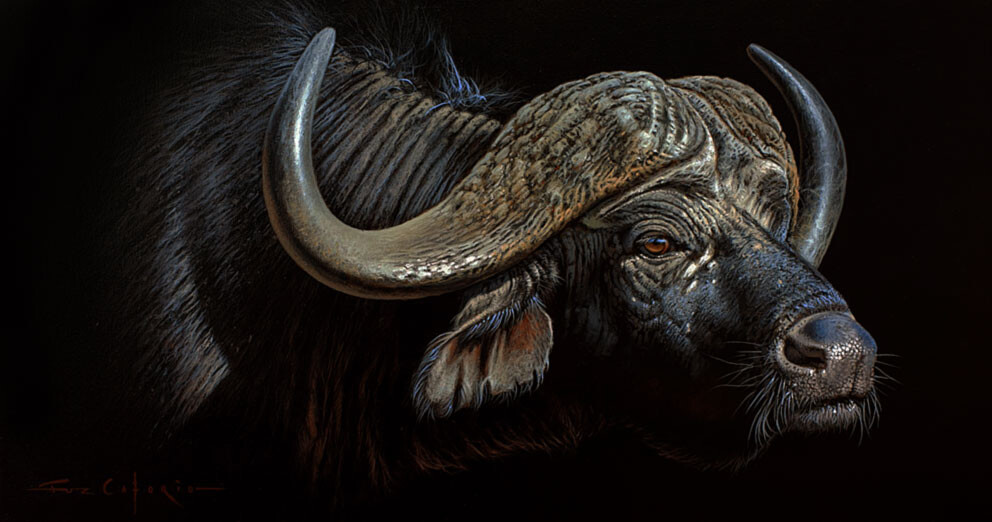 ArtStation - "Inyathi"