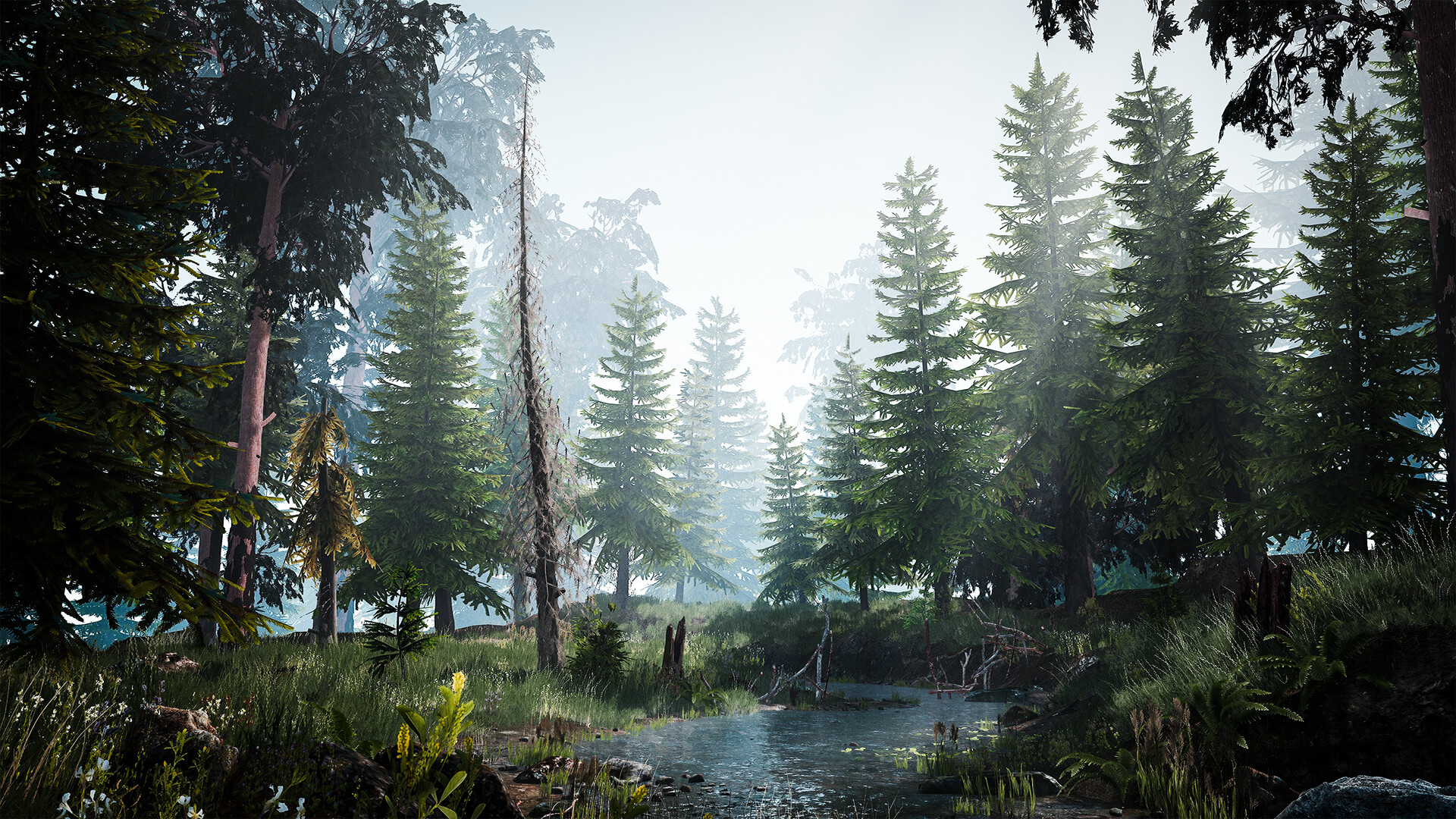 ArtStation - Northern forest