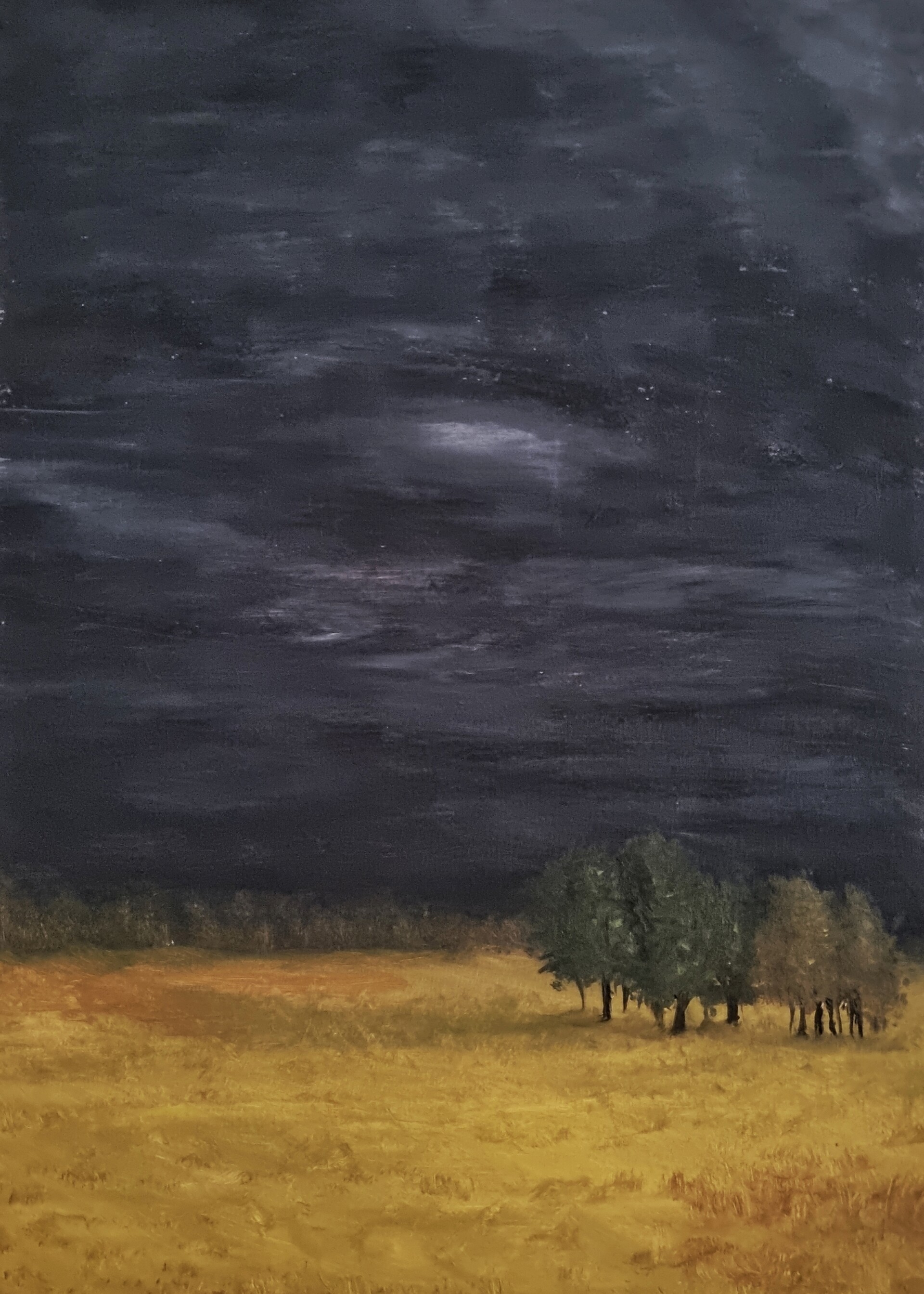 ArtStation - Field at night