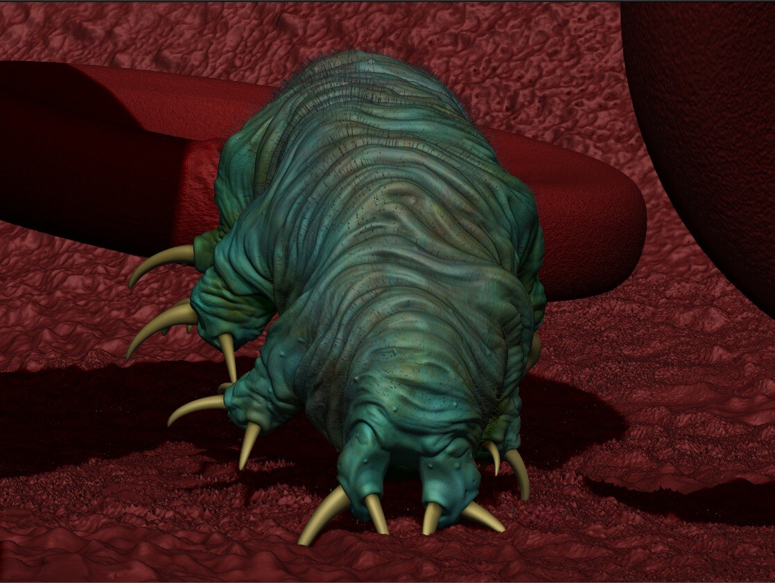 ArtStation - Tardigrade