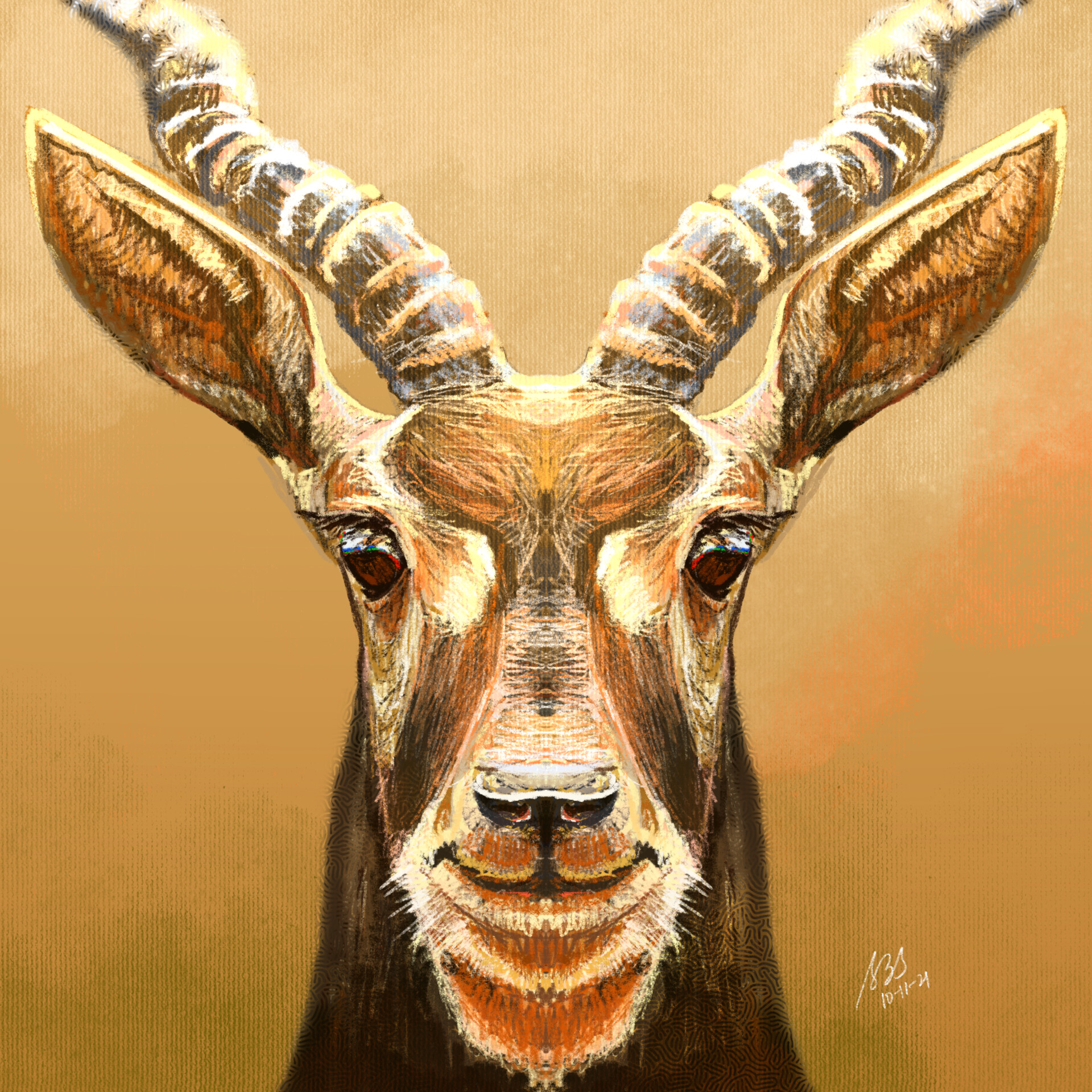 ArtStation - Blackbuck