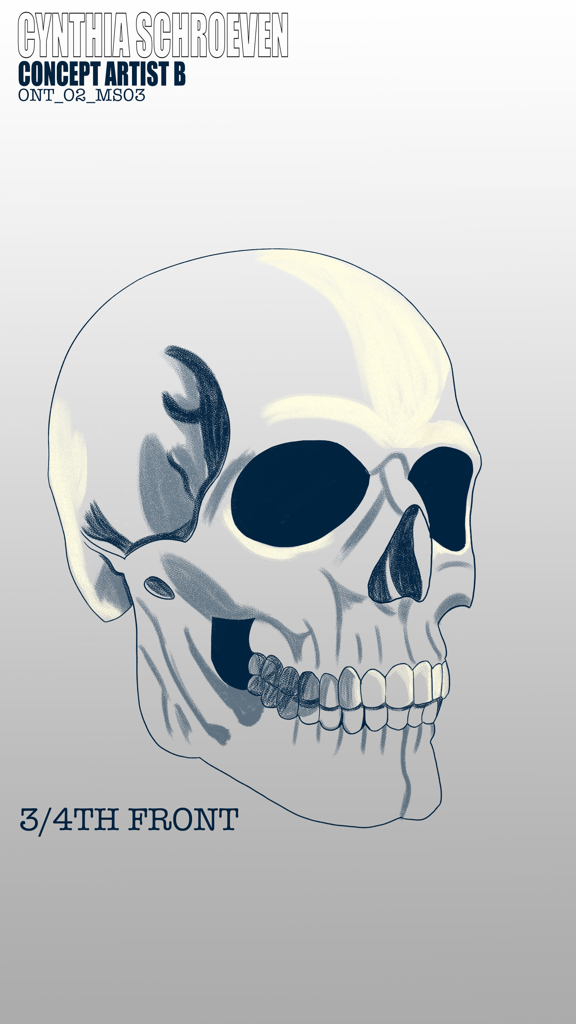 ArtStation - Skull studies