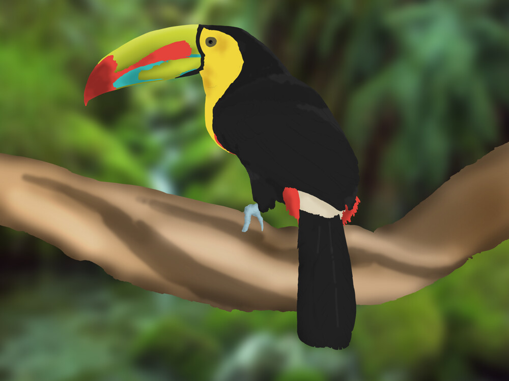 ArtStation - Toucan
