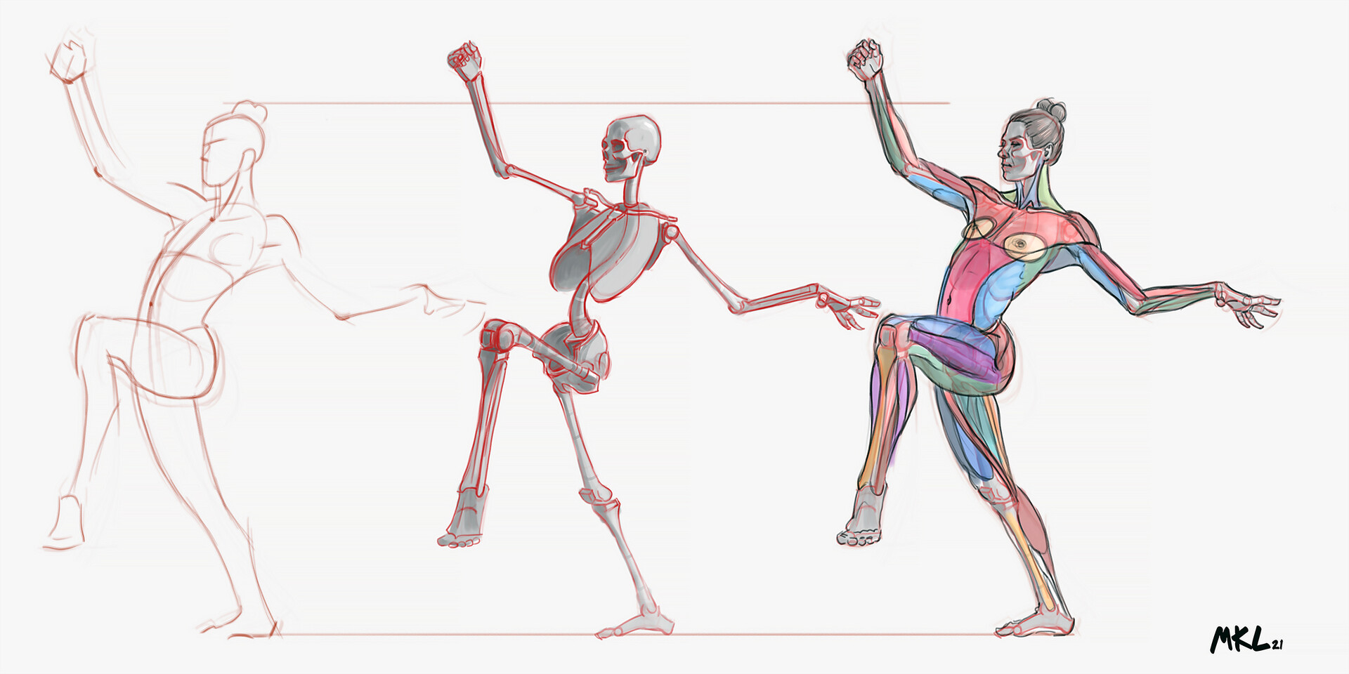 ArtStation - Anatomical study 3