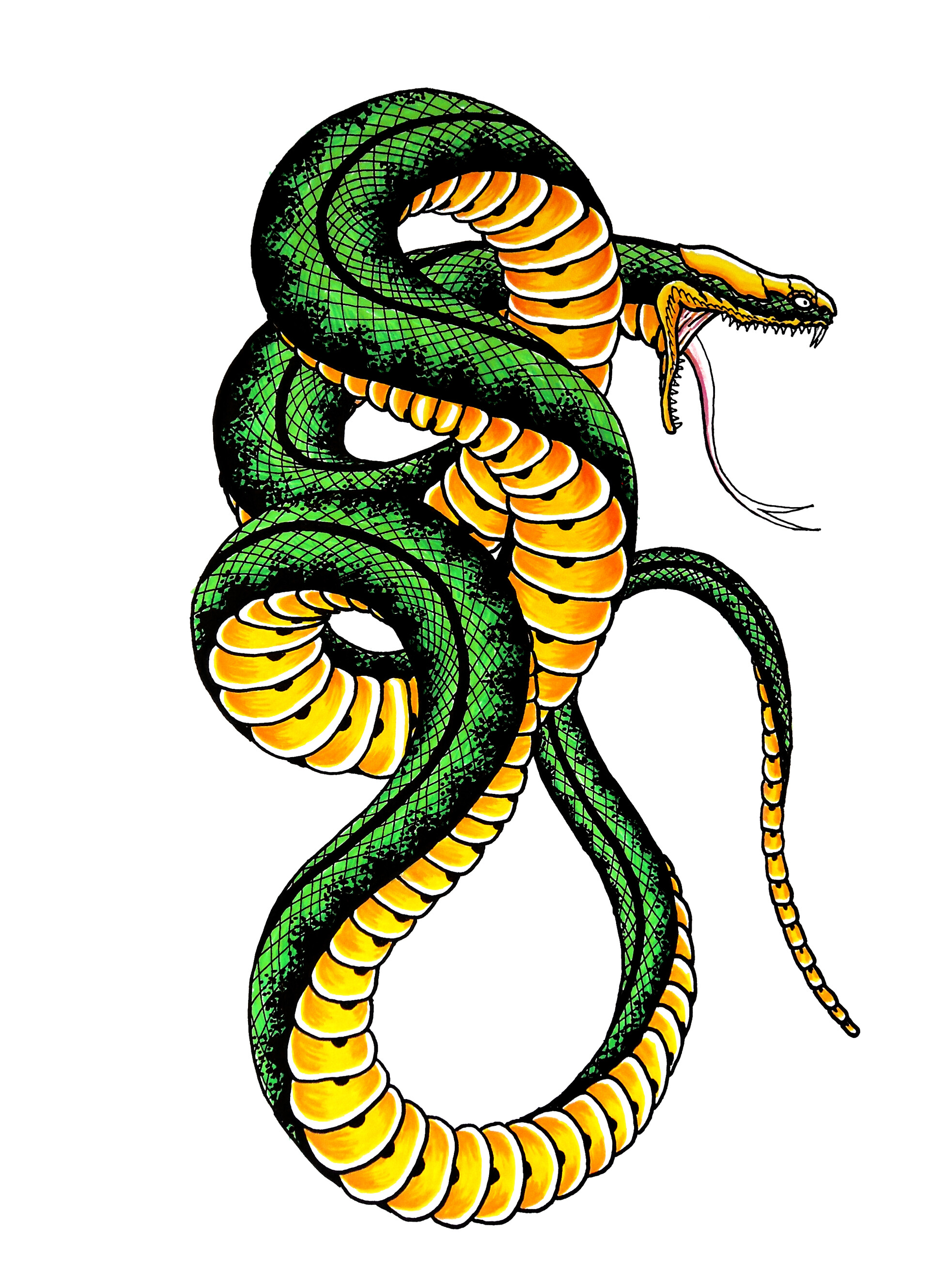 Japanese Snake Painting