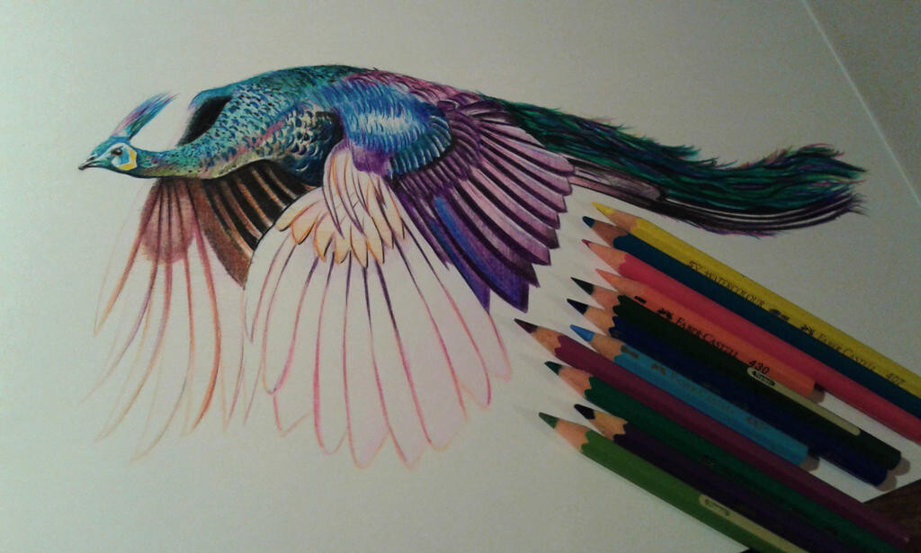 ArtStation - Flying peacock