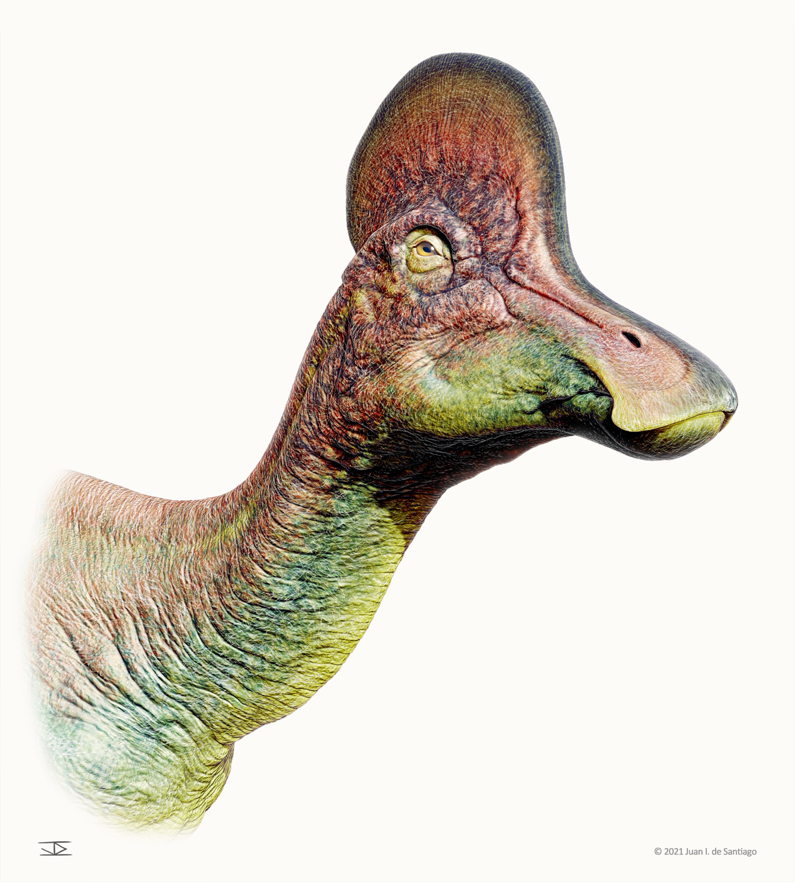 Juan de Santiago - Senior Asset and Creature Artist - Corythosaurus