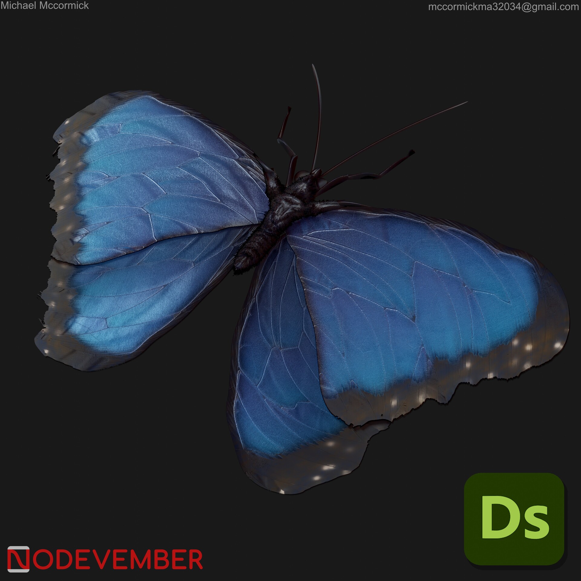 ArtStation - Nodevember Day 15/16: Blue Morpho Butterfly