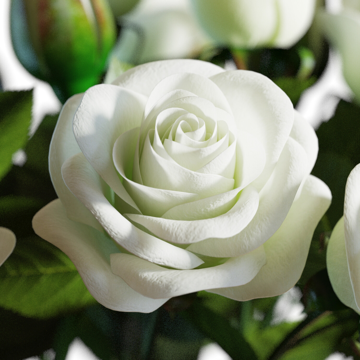 ArtStation - 3D Model / White roses