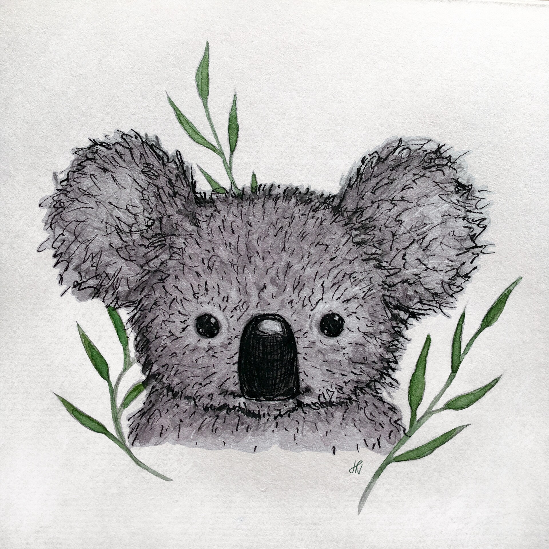 ArtStation - Australian animals