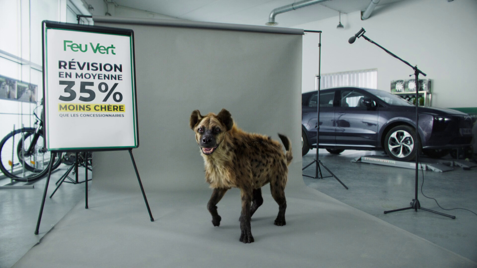 Sandeep Grover - My Love towards Animals