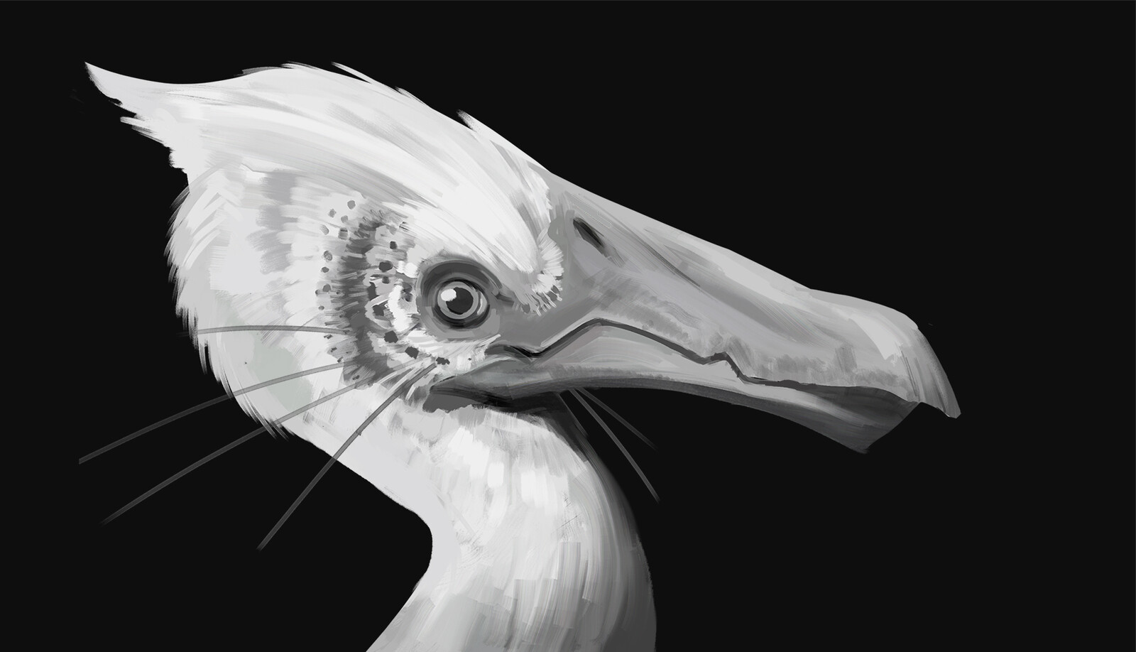 Simon Acty - Some alien bird portraits