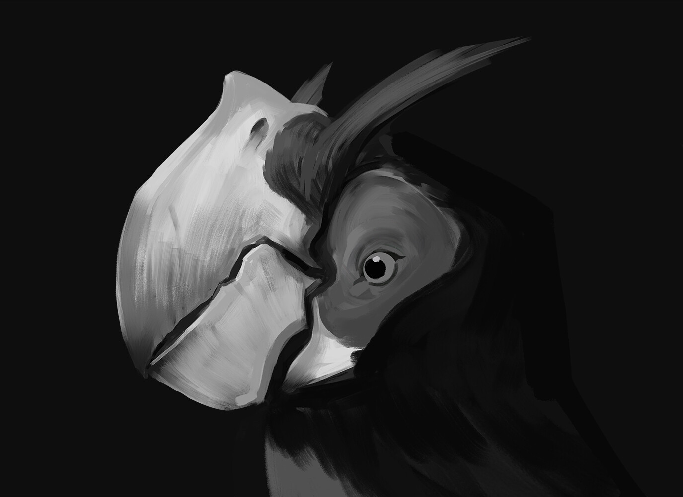 Simon Acty - Some alien bird portraits