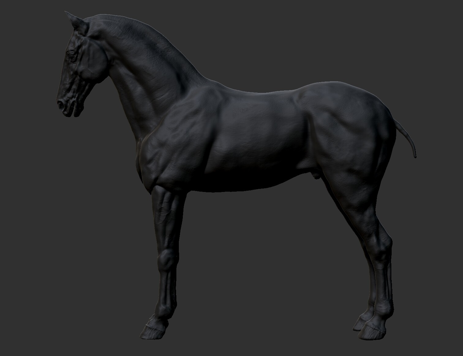 ArtStation - Horse, photorealism, WIP
