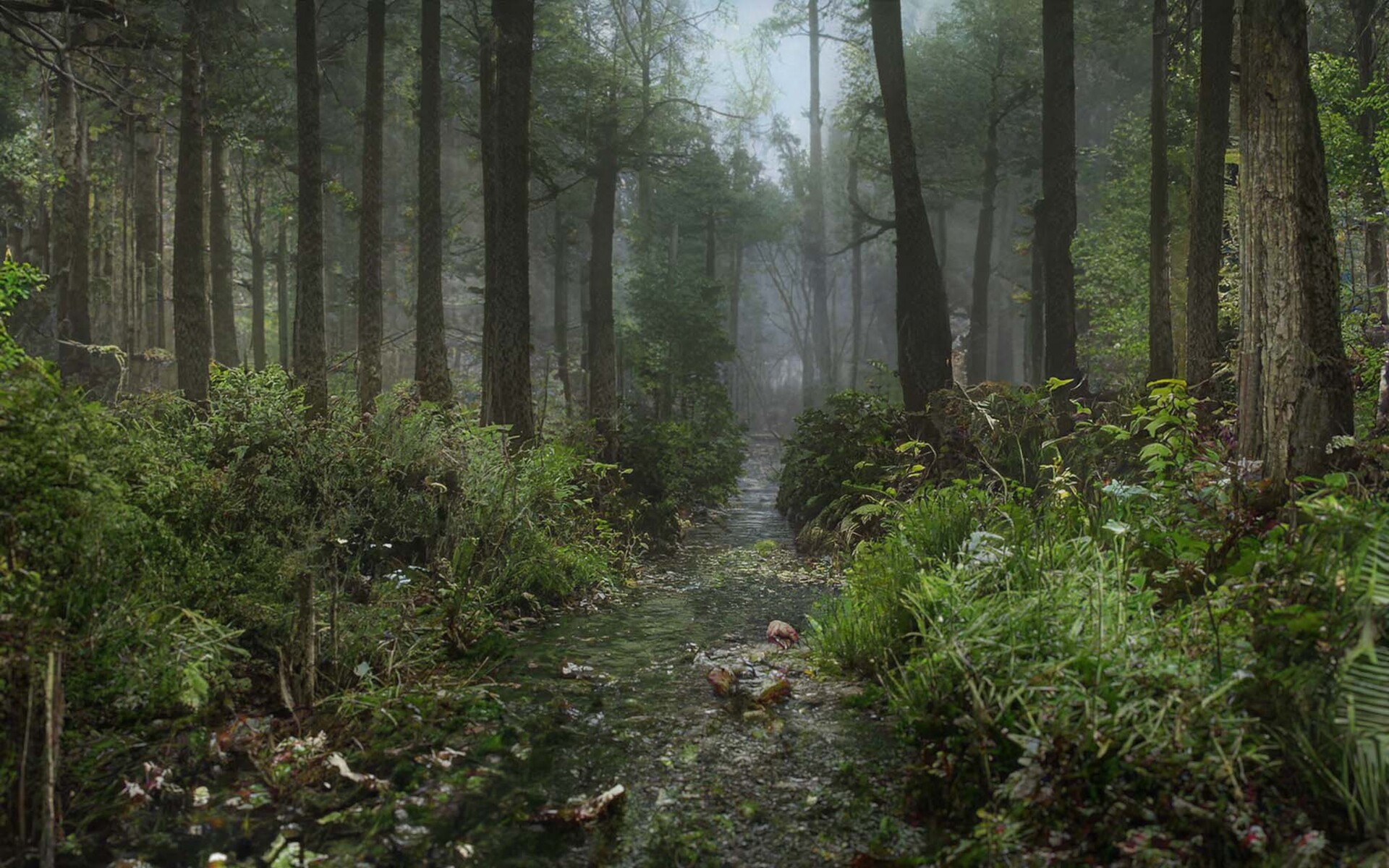 ArtStation - Forest (Variations)