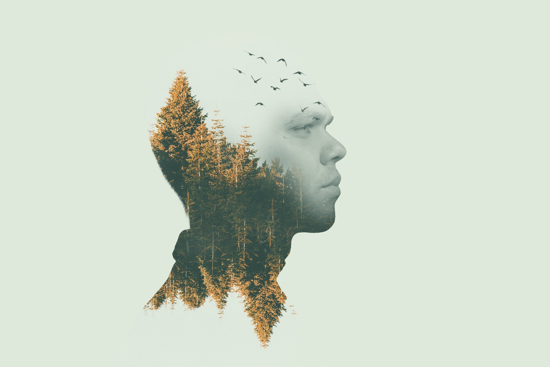 ArtStation - Double Exposure - Photo Editing