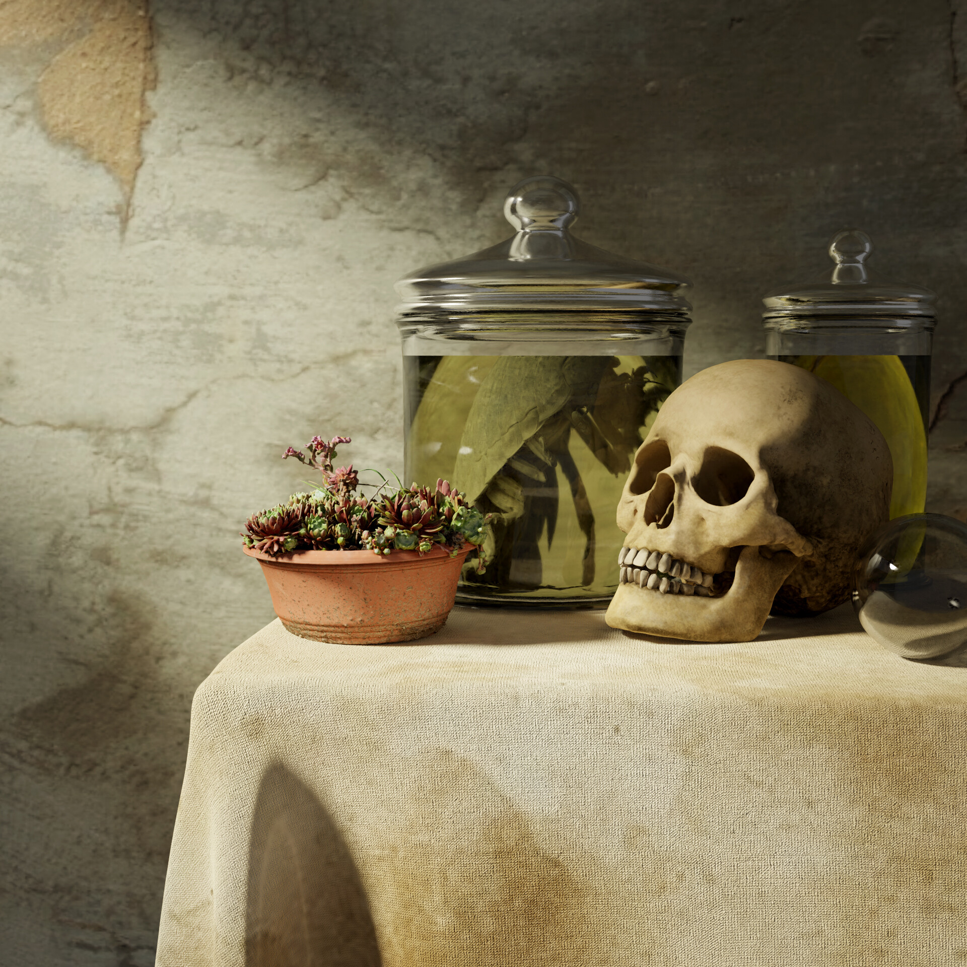 ArtStation - Still life with skull and things in jars