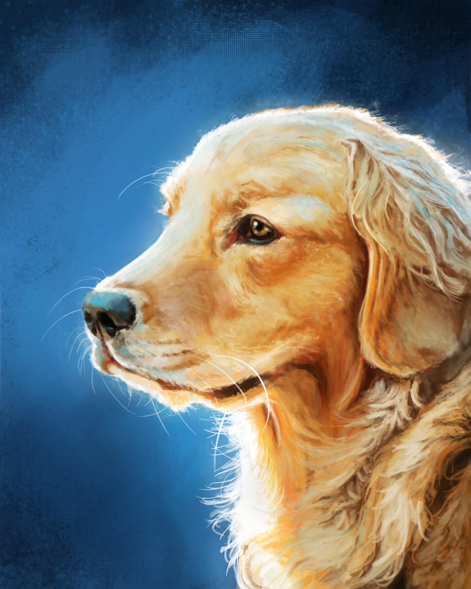 ArtStation - Dog Study