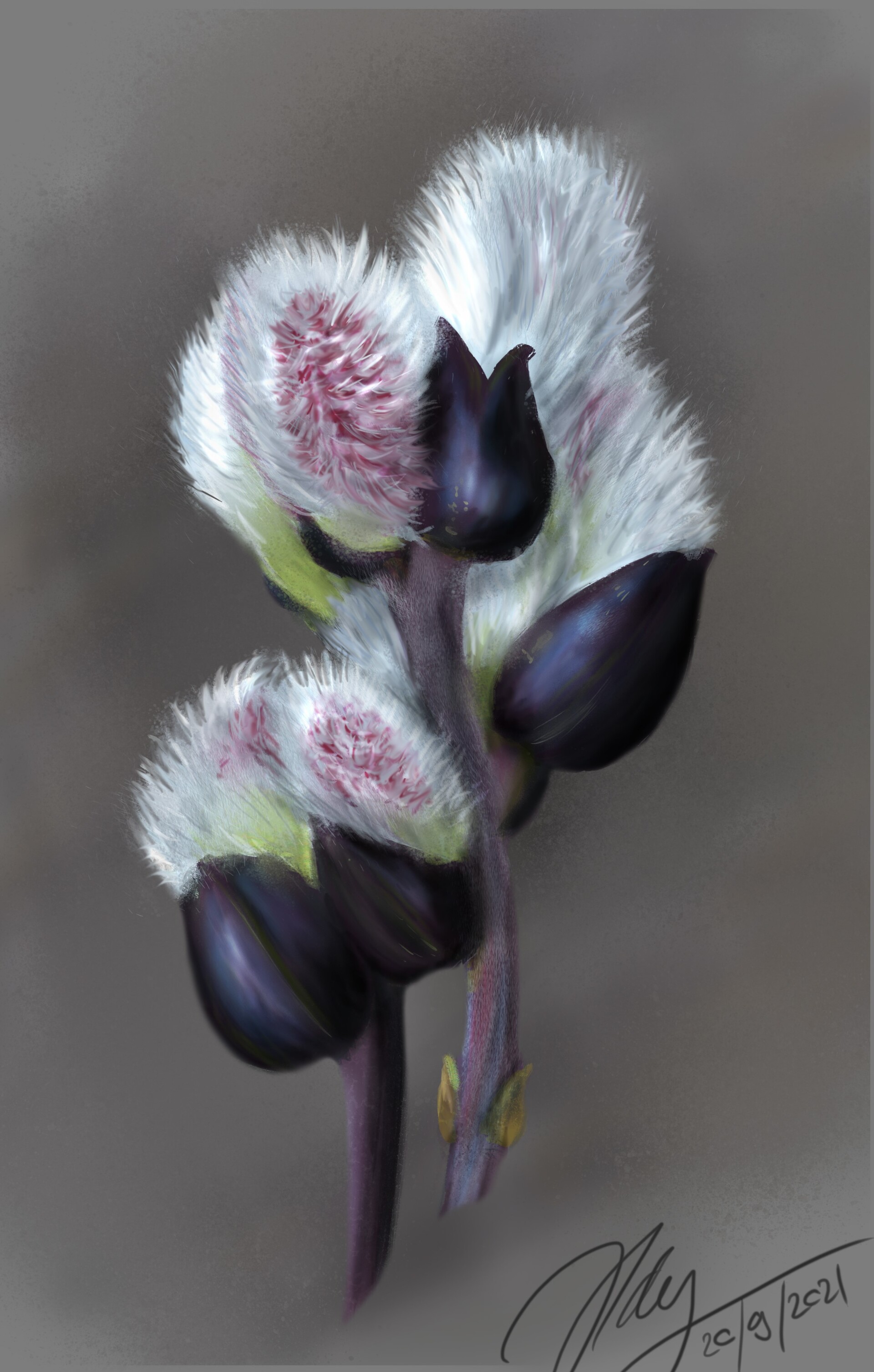 ArtStation - Study of catkin